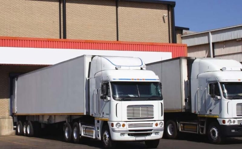 The Essentials of Efficient Frozen Food Distribution - MyPressportal ...