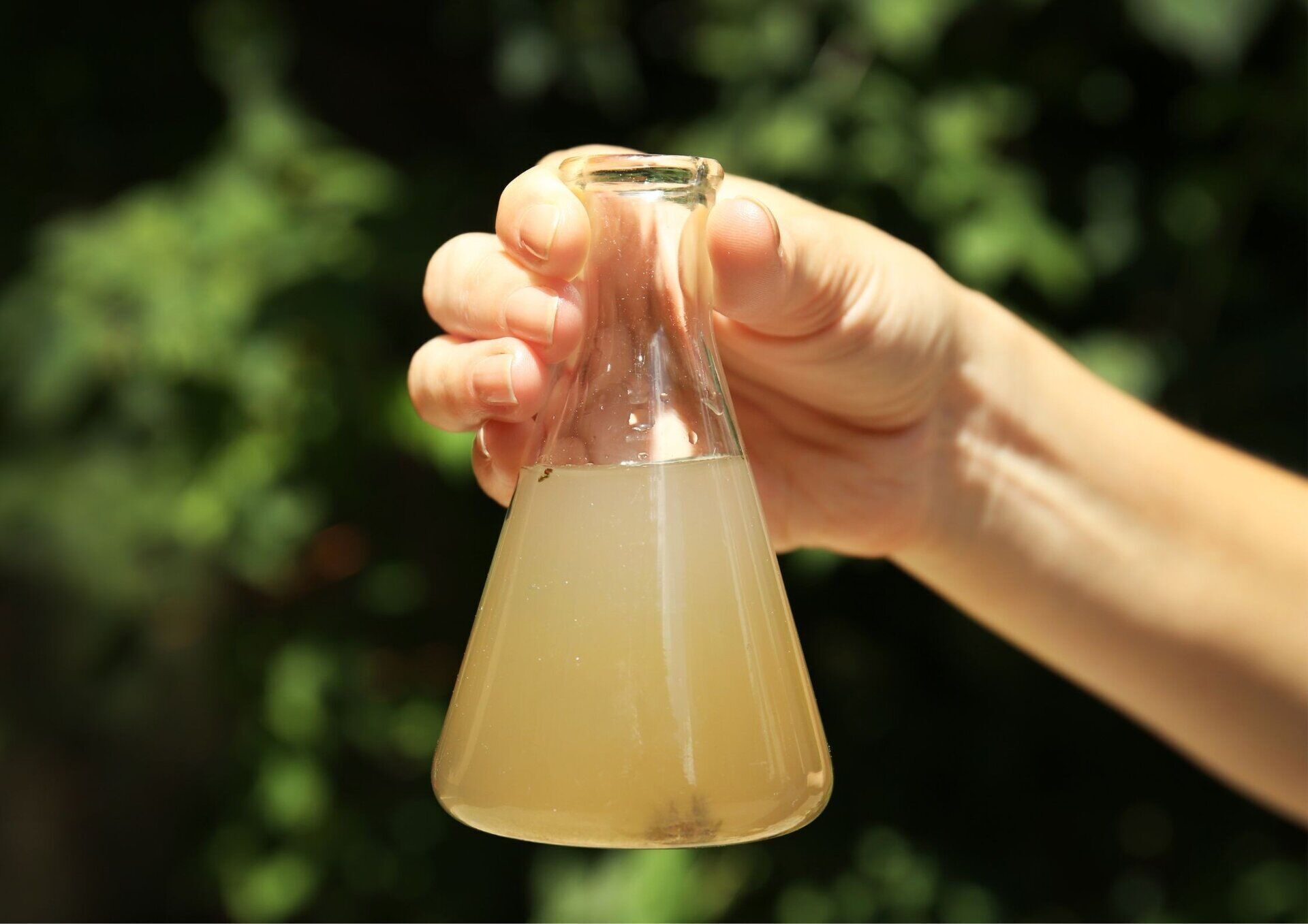 The Vital Role Of Reliable Water Infrastructure In Preventing Cholera ...