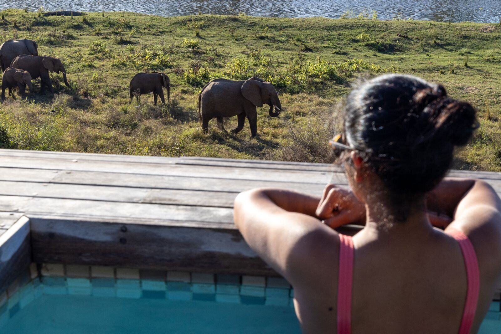 From Soil to Sanctuary - Simbini’s Model for Future-Focused Living ...