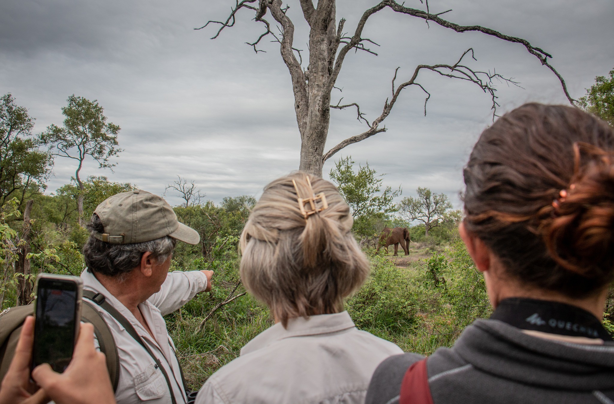 Stones Safaris Champions the Rise of Slow Safari Travel in Kruger ...