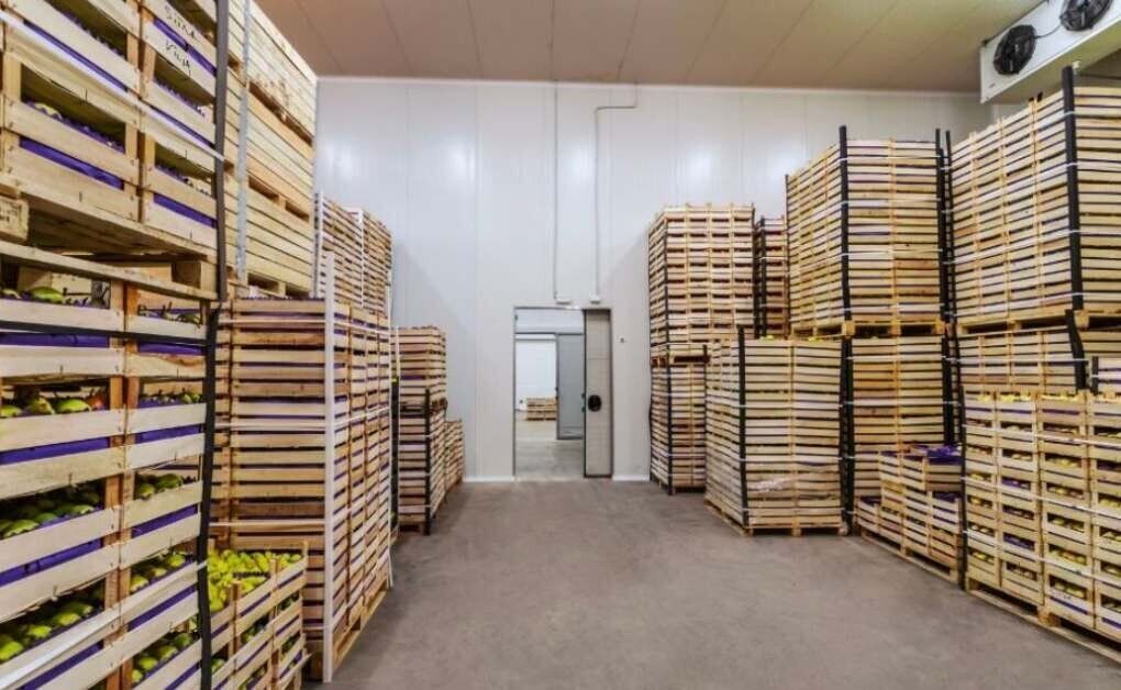 Unlocking the Benefits of Cold Storage Warehouses for the Food Sector ...