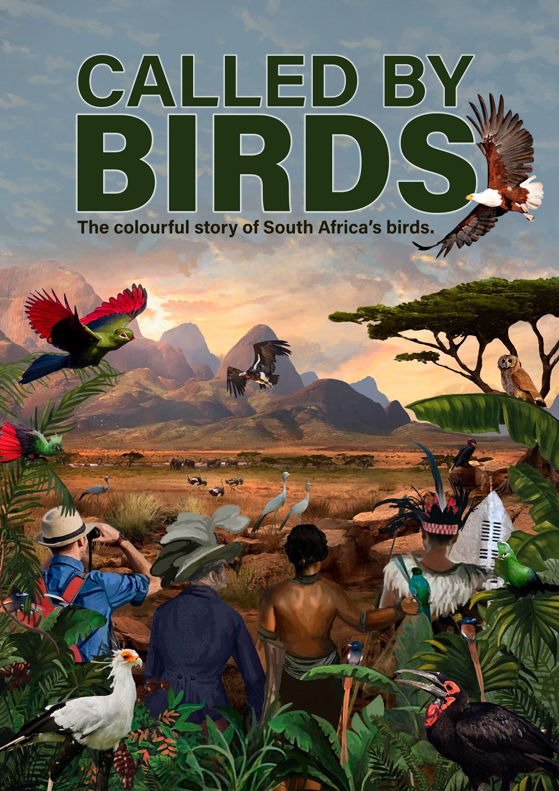 New Short Documentary Series "Called by Birds" Celebrates South Africa ...