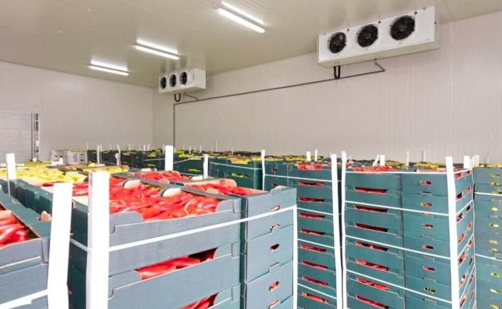 Understanding the Different Types of Cold Storage Solutions in the Food ...