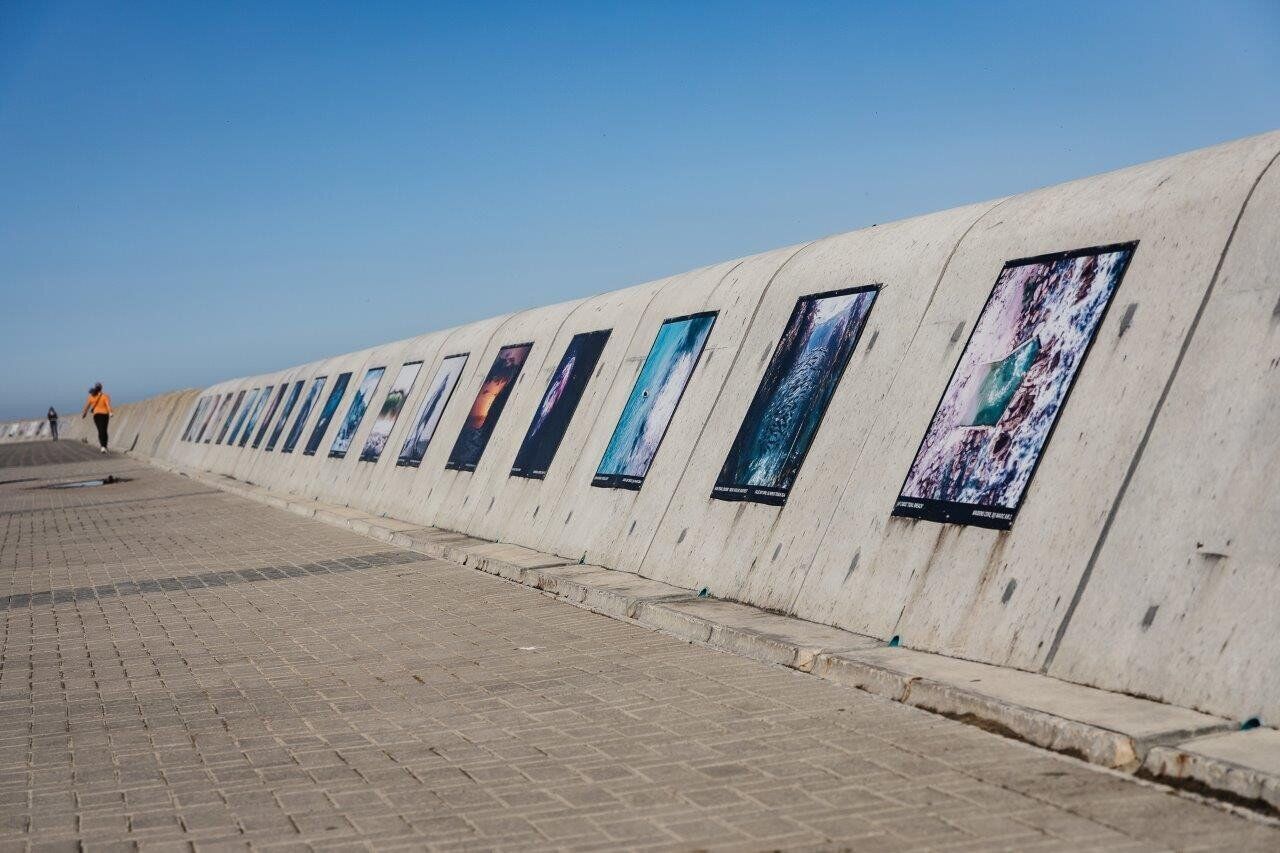 Annual Sea Point Promenade Photographic Exhibition opens for entries ...