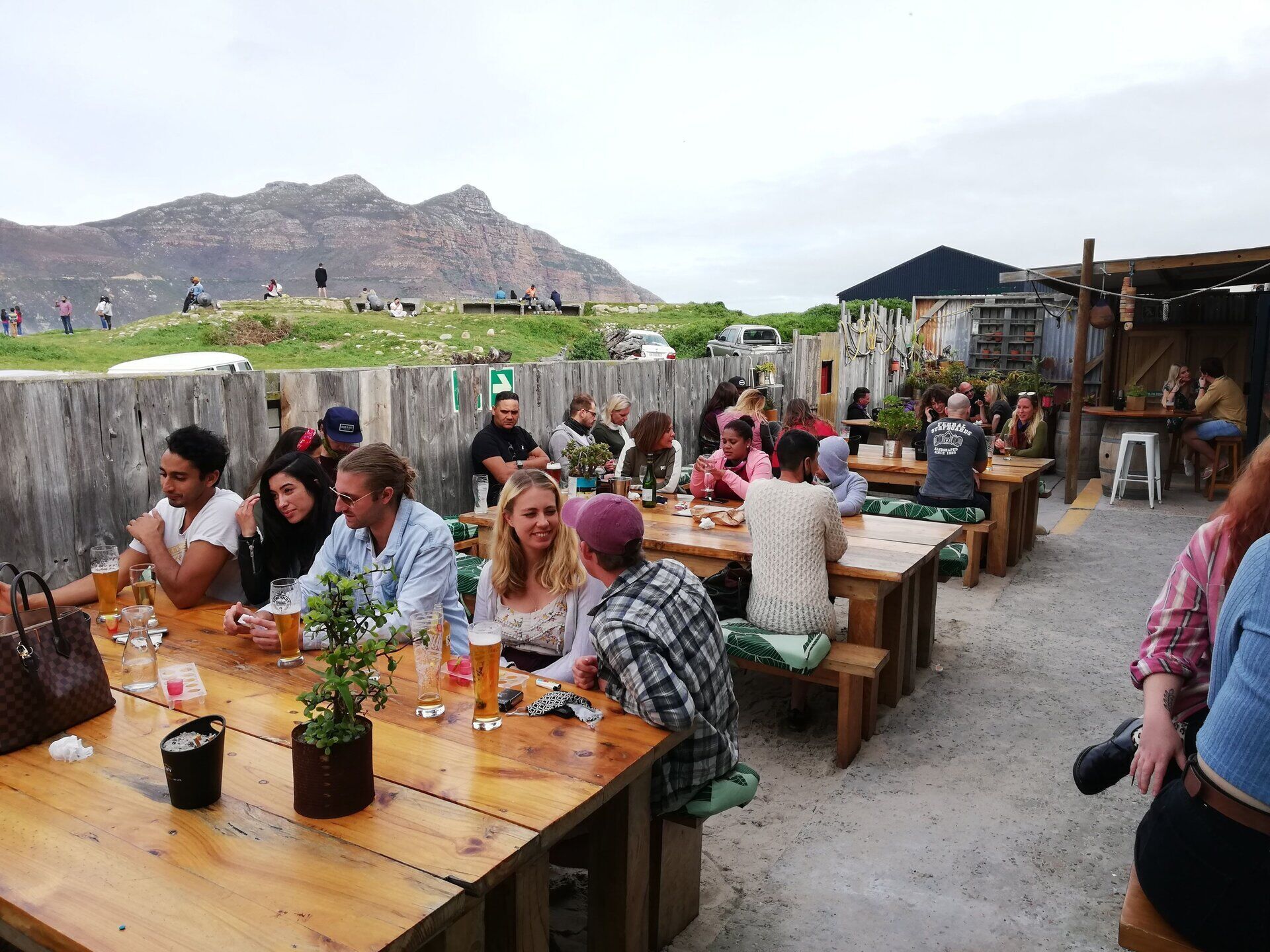 Experience the Magic of the Festive Season in the Bay - MyPressportal ...