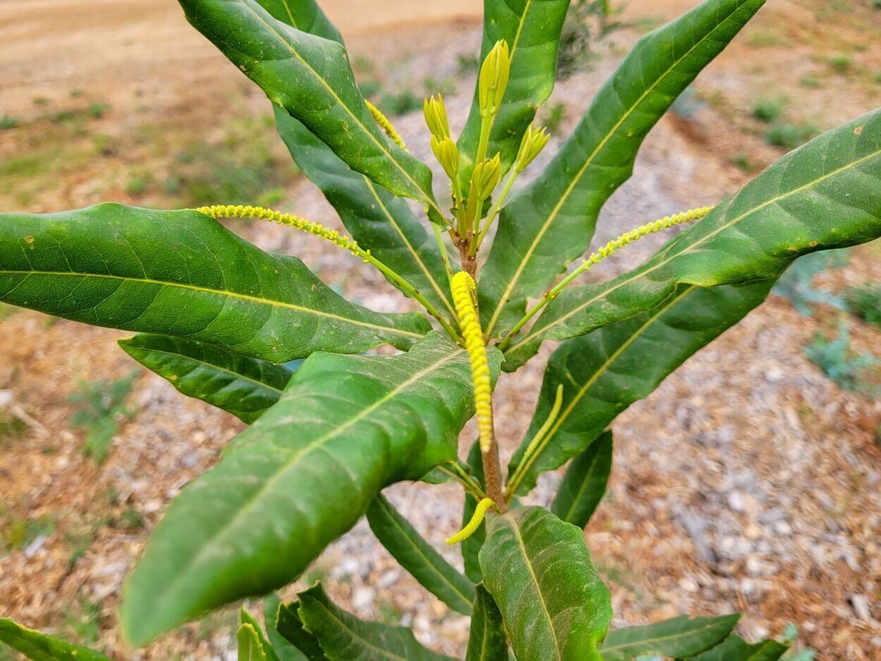 Roam free, break free with Simbini Lifestyle Estate - MyPressportal ...