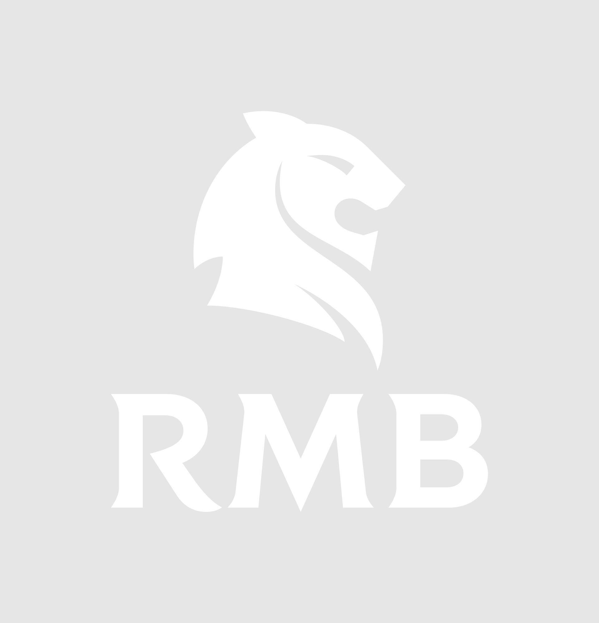 RMB Specialist Shivank Goel Details How Africa Corridor Can Accelerate ...