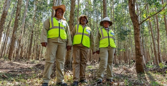 Sappi Khulisa Programme Showcases Women Driving Lasting Change In South ...