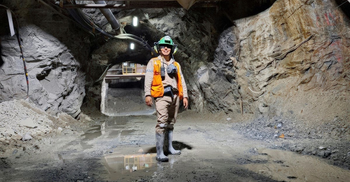 BHP Launches Southern Africa Outreach To Advance Exploration Knowledge ...