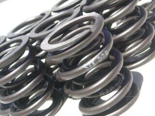 Competition Valve Springs / High Rev Kits - MyPressportal - Free Press ...