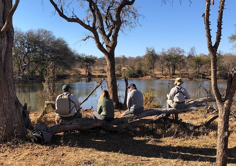 For True Nature Enthusiasts – Stones Safaris Offers Ultimate Bush Veld ...