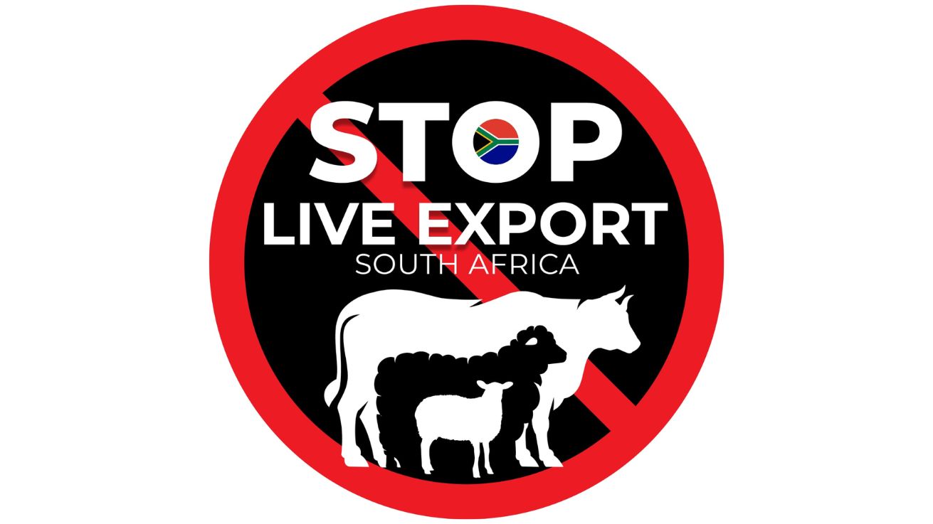 South Africans Urged To Act As Humane World For Animals Condemns Live ...